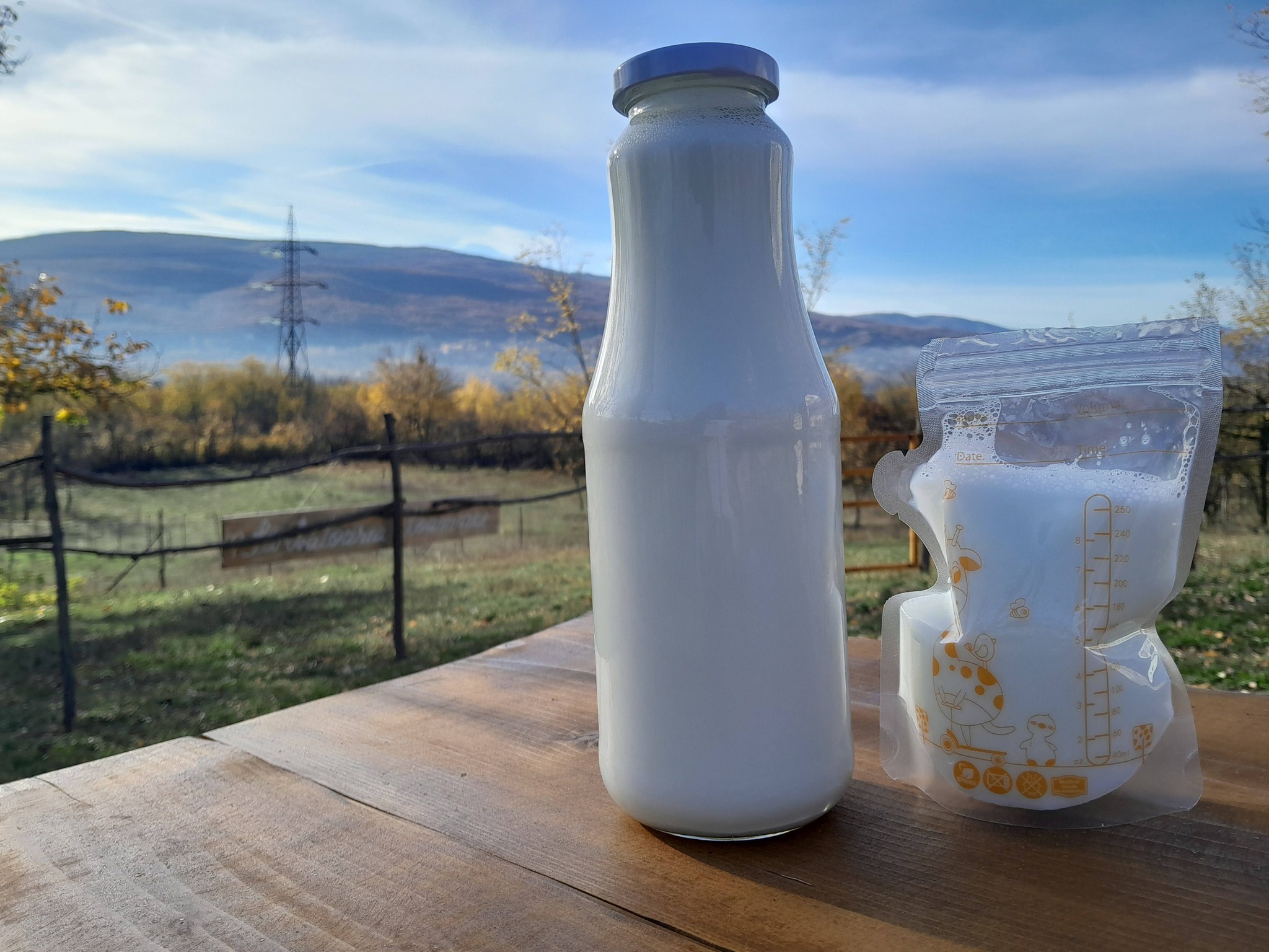 Laptele care se vinde cu 100 de lei litrul la Buzău! În Antichitate ...