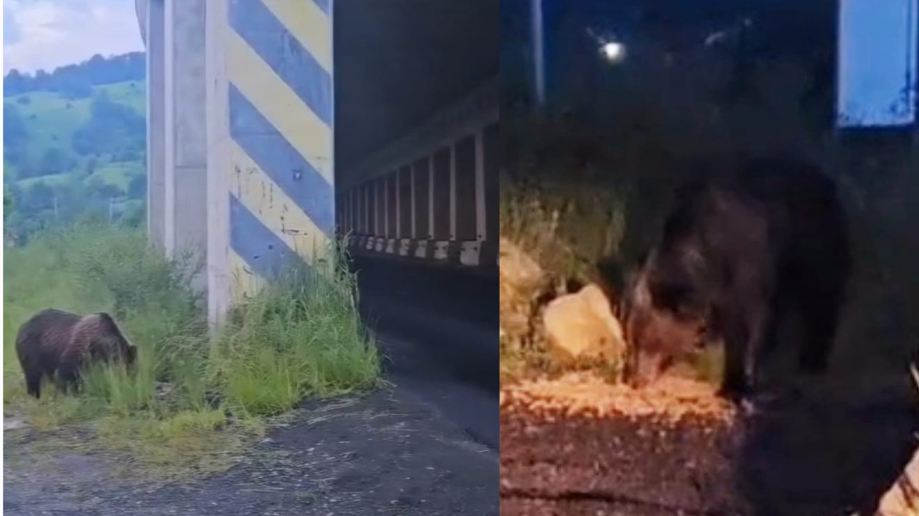 EXCLUSIV! Imagini înfiorătoare la Barajul Siriu. DN 10, un nou ...